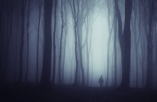 man silhouette in spooky forest - Stock Image - Everypixel