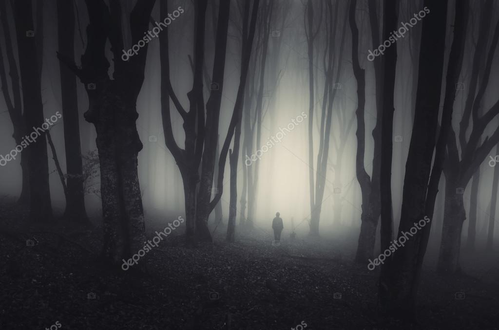 Mørk Skog Silhuett Mörk Skog Dinglande Droppörhängen Stilfullt