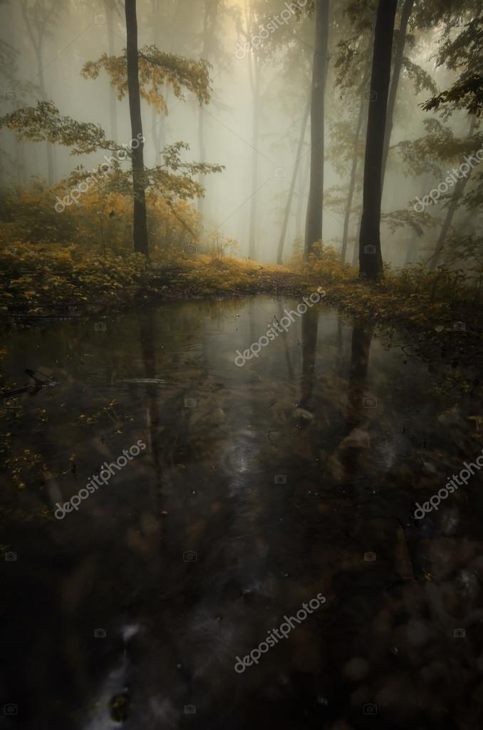 Dark lake in spooky forest — Stock Photo © photocosma #74305789