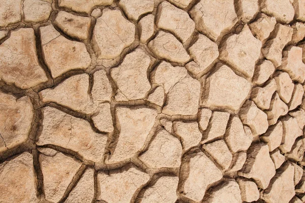 Hawai texture Stock Photos, Royalty Free Hawai texture Images ...