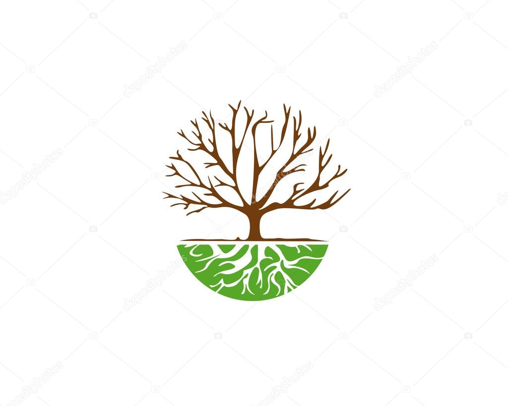 Tree Root Logo Icon Stock Vector by ©gagu 116257498