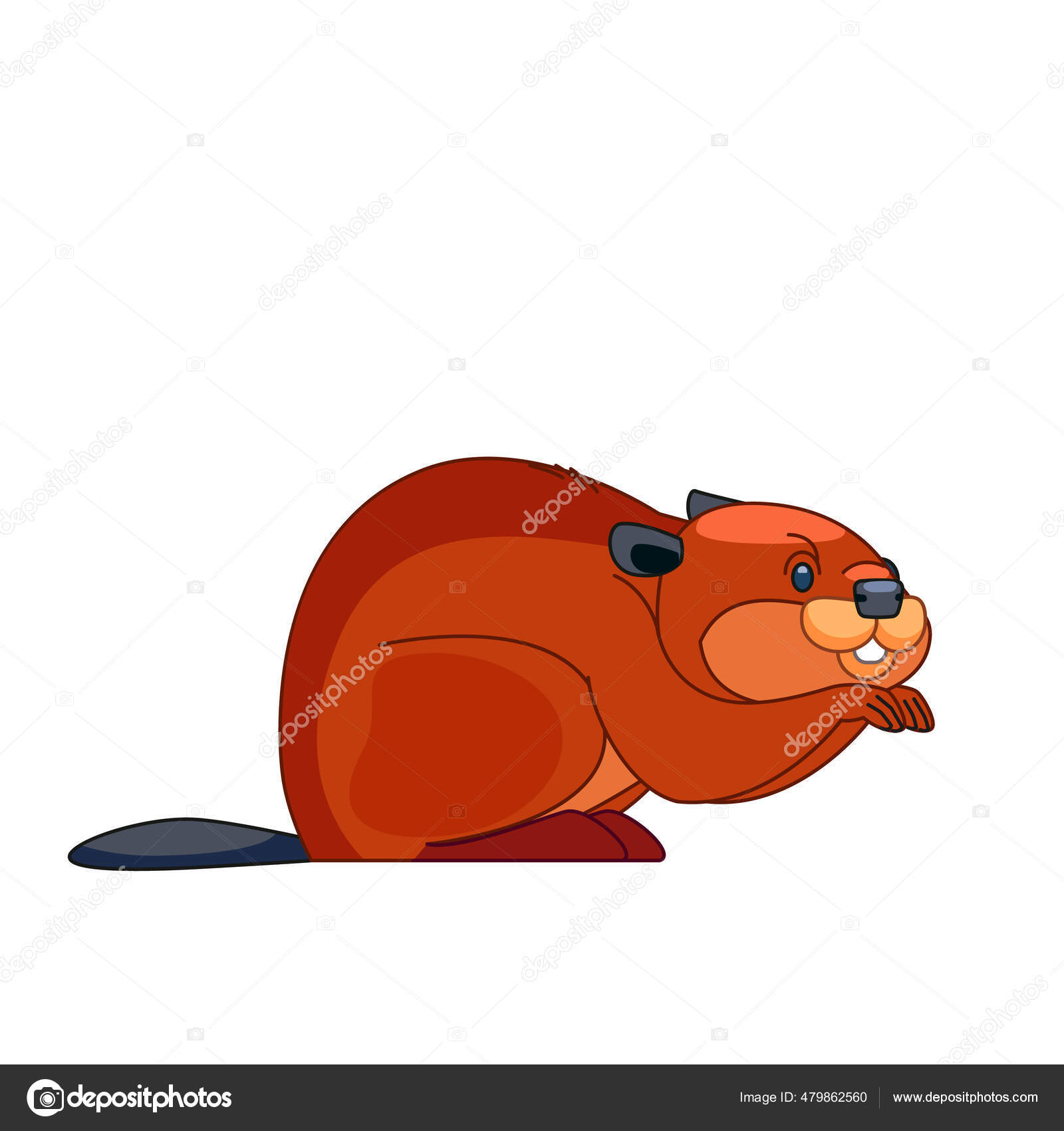 Beaver eating plant. Cartoon vector flat illustration isolated on white ...