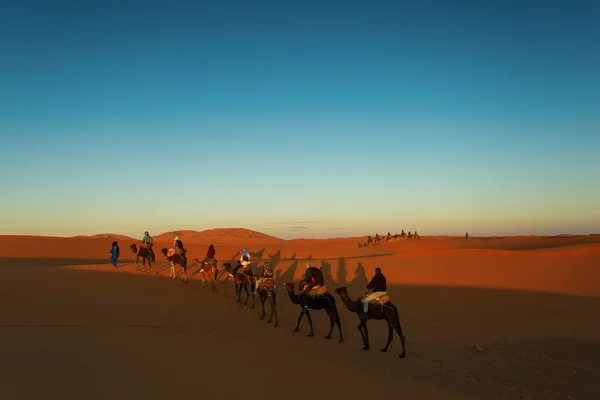 Camel caravane Stock Photos, Royalty Free Camel caravane Images ...