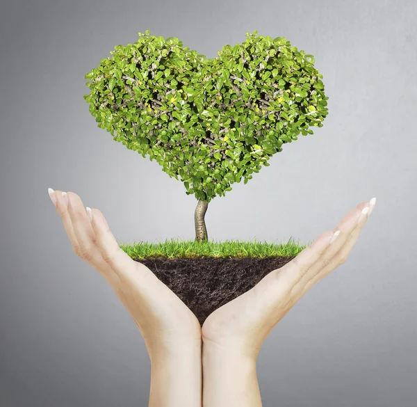 Heal Stock Photos, Royalty Free Heal Images | Depositphotos