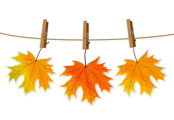 816 String leaves Vector Images | Depositphotos