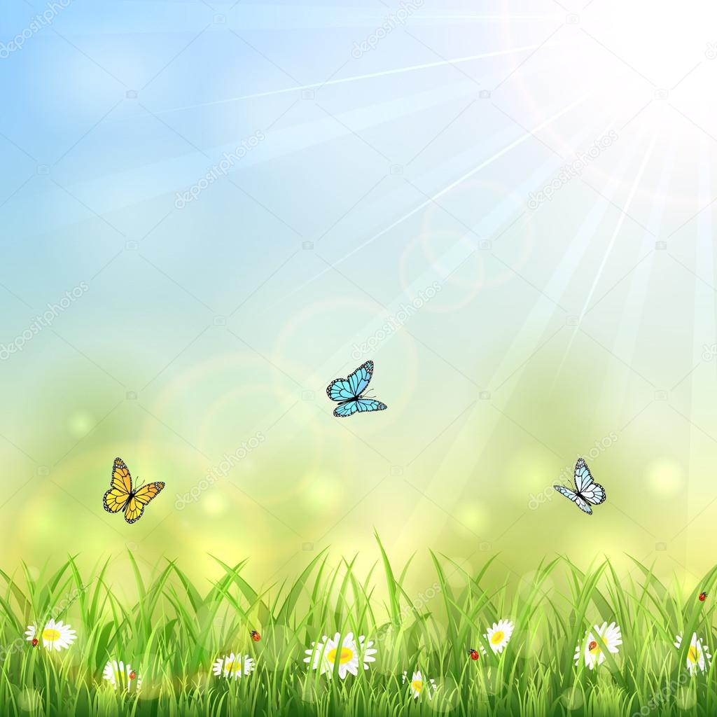 Summer background with butterflies Stock Vector Image by ©losw #69094225