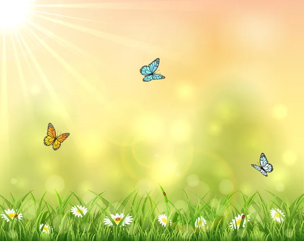 Sunny background with butterflies Stock Vector Image by ©losw #69140815