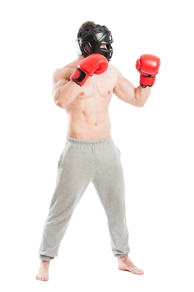 Boxer Fighter Full Body