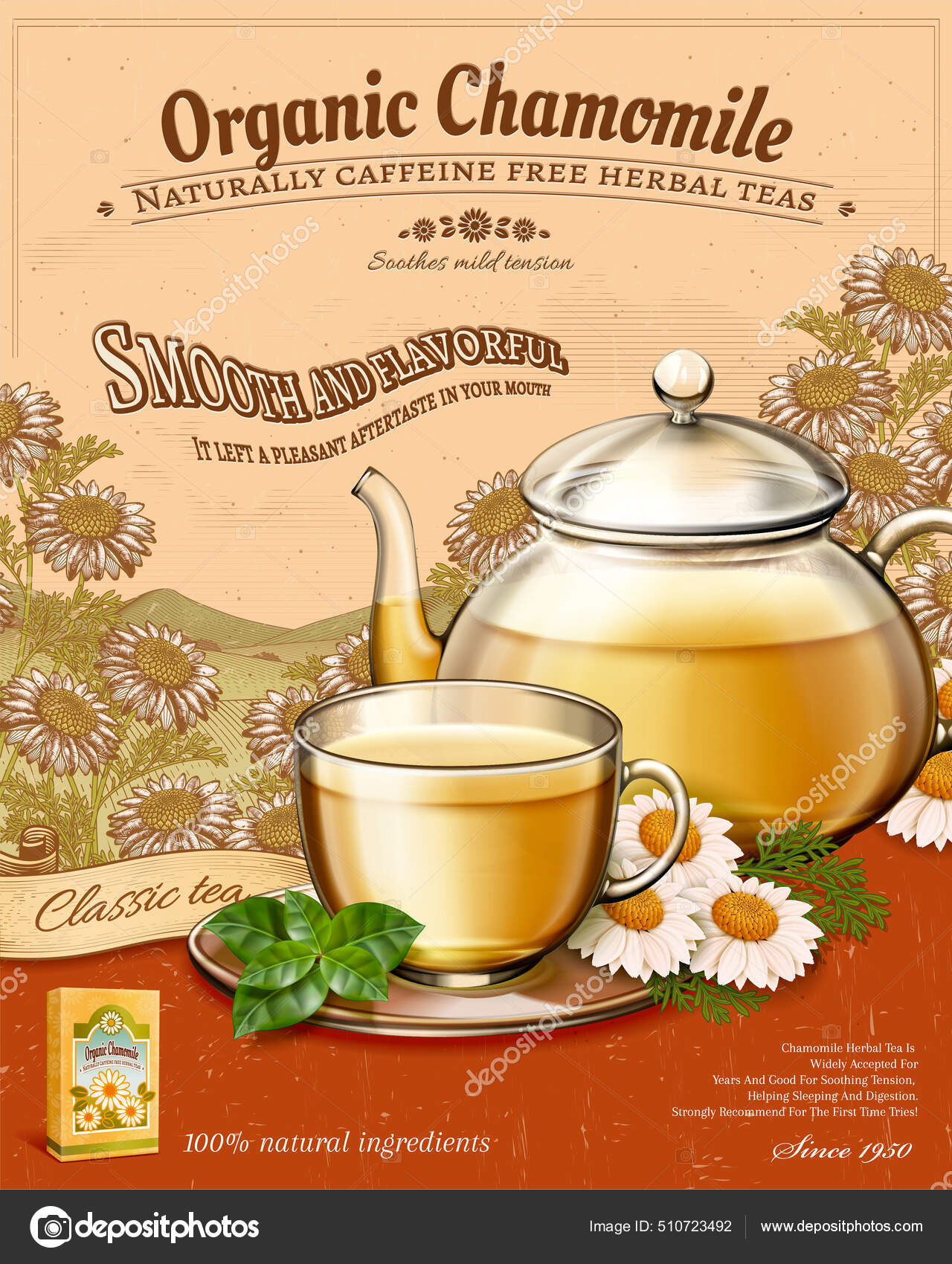 Illustration Organic Chamomile Tea Ads Retro Engraved Style Garden ...