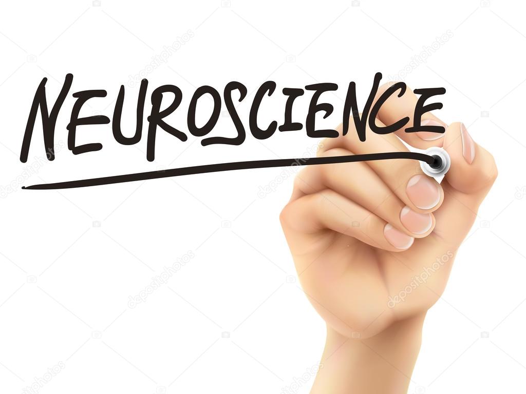 Neuroscience word written by 3d hand Stock Vector Image by ©kchungtw ...