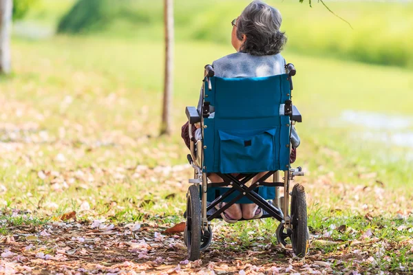 Cripple adult in wheelchair — Stock Photo © Deerphoto #93022802