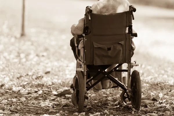 Cripple adult in wheelchair — Stock Photo © Deerphoto #93022802