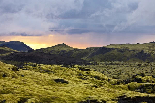 Surreal landscape with wooly moss at sunset in Iceland Stock Photo by ...