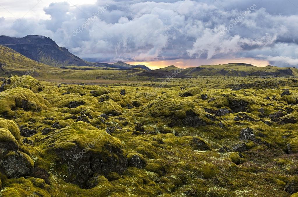 Surreal landscape with wooly moss at sunset in Iceland Stock Photo by ...