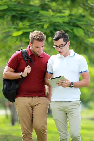 two college students discussing a subject while walking at colle ...