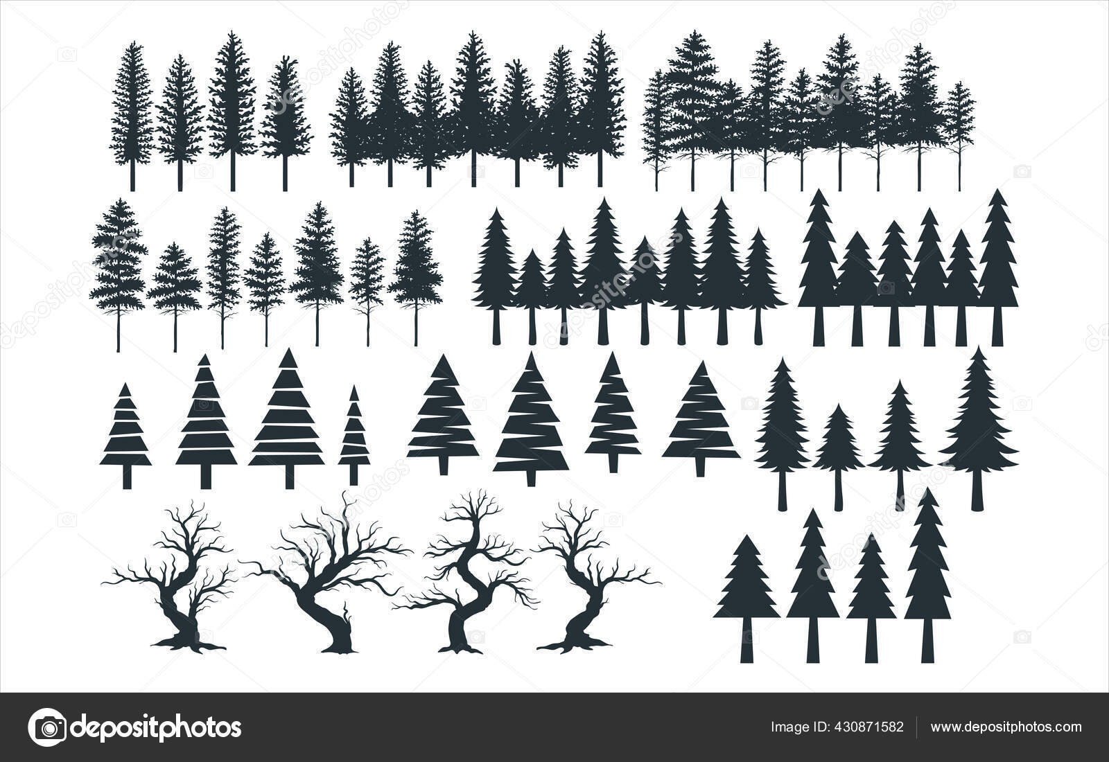 Pine Tree Graphic Design