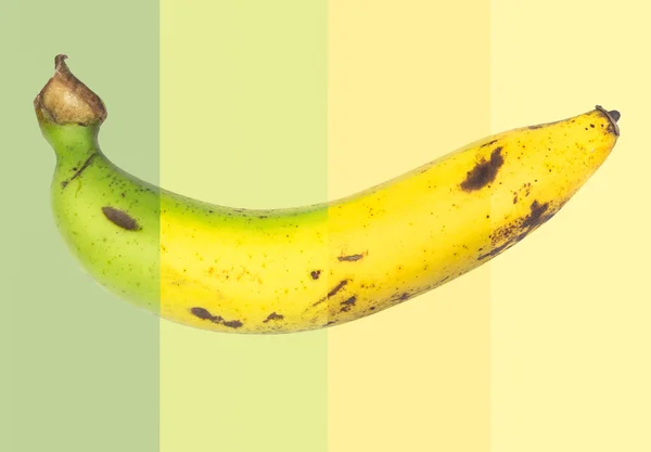 Banana color chart Stock Photos, Royalty Free Banana color chart Images ...