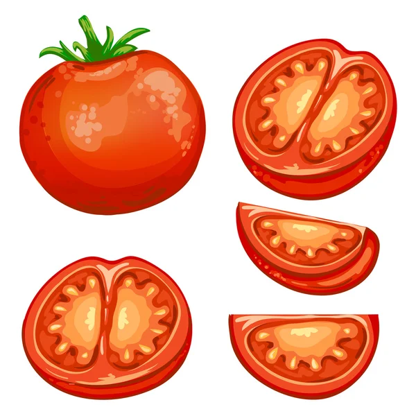 100,000 Desenho fases tomate Vector Images | Depositphotos