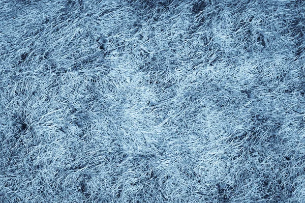 Hair texture Images - Search Images on Everypixel