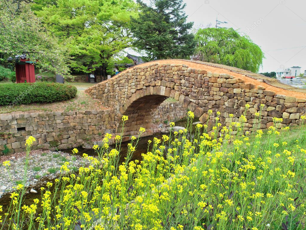 Primavera del puente de Mannyeongyo en Yeongsan, Changnyeong, Gyeongnam ...