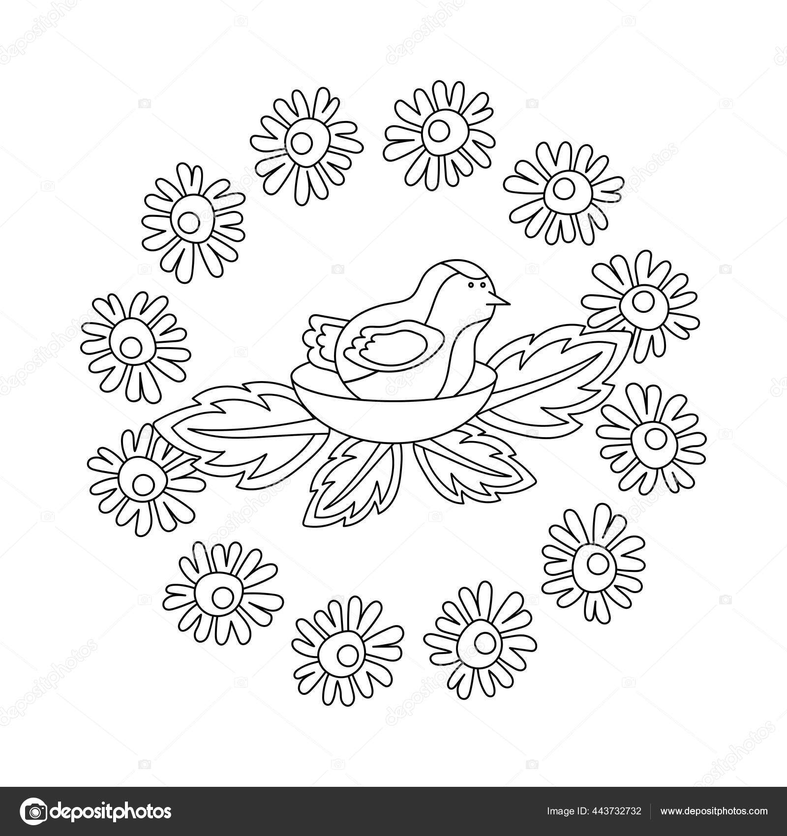 Coloring Pages Bird Nest