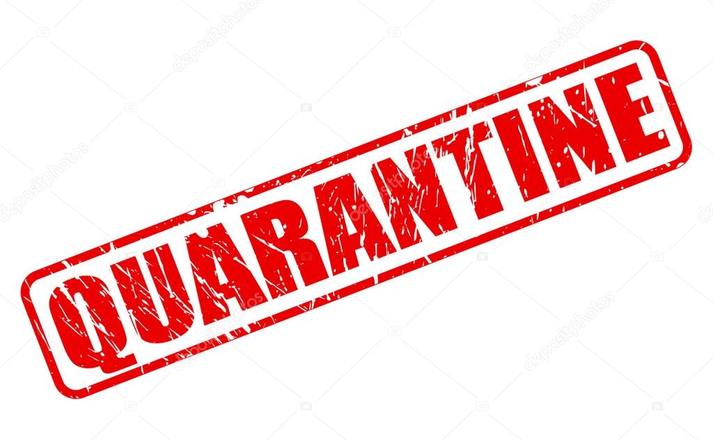 QUARANTINE red rubber stamp text — Stock Vector © pockygallery #78786044 QUARANTINE red rubber stamp text — Stock Vector © pockygallery #78786044