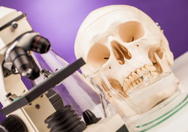 Human skull, miniature of a doctor and syringe — Stock Photo ...