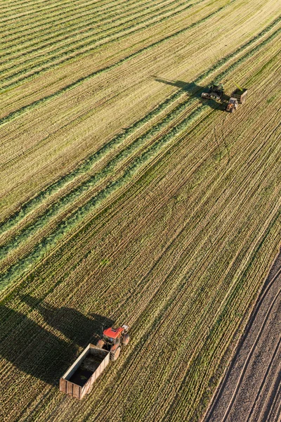 Harvest fields with combine and tractor - Stock Image - Everypixel
