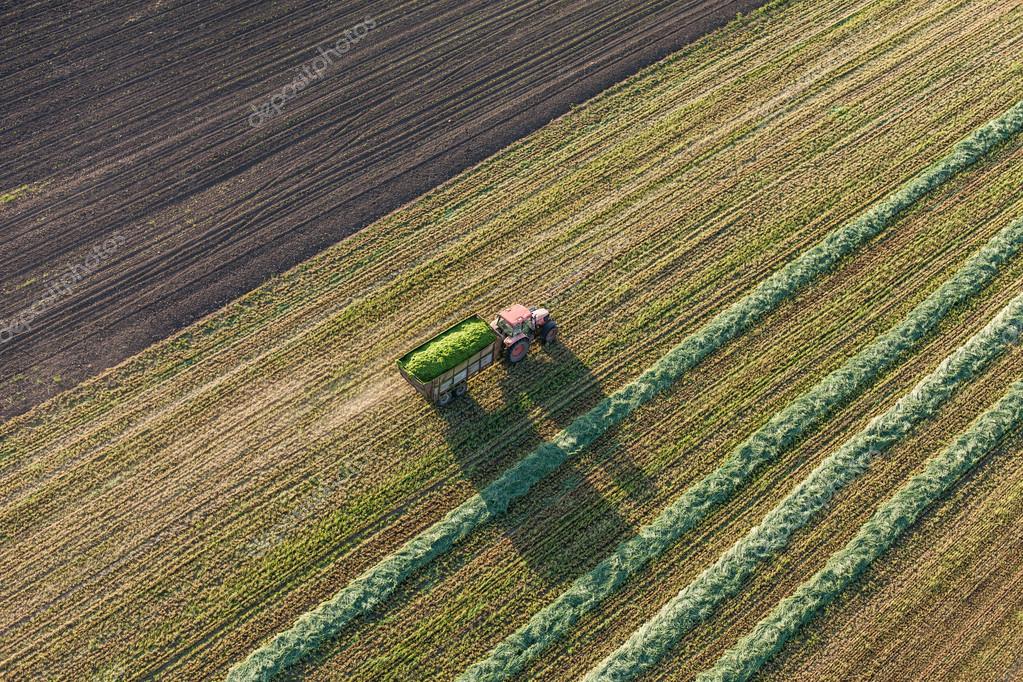 Aerial view of harvest fields with tractor — Stock Photo © yeti88 #73108735