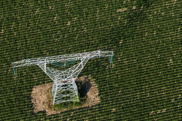 Electrical wires large scale power energy tower Stock Photo by ©yeti88 ...