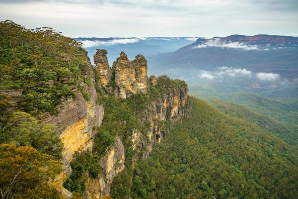 Three tree point Stock Photos, Royalty Free Three tree point Images ...