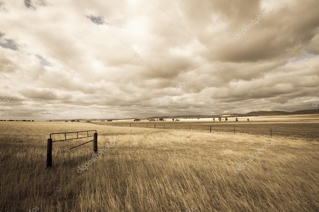 Farm country outback Australia draught Stock Photo by ©roboriginal 70755907