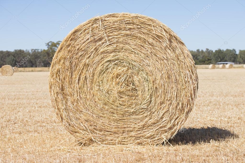 Rolled hay bale with texture on farm land Stock Photo by ©roboriginal ...
