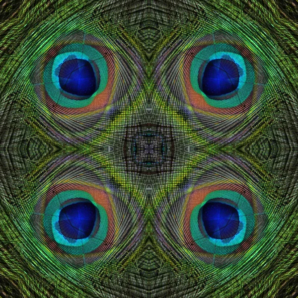 Peacock wheel Stock Photos, Royalty Free Peacock wheel Images ...