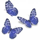 Three blue butterfly — Stock Photo © thawats #70653945
