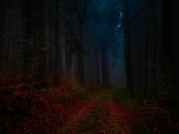 Dark Forest Path