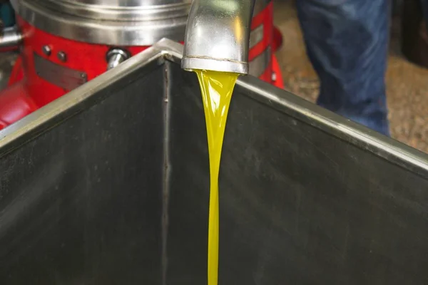 Olive oil extraction Stock Photos, Royalty Free Olive oil extraction ...