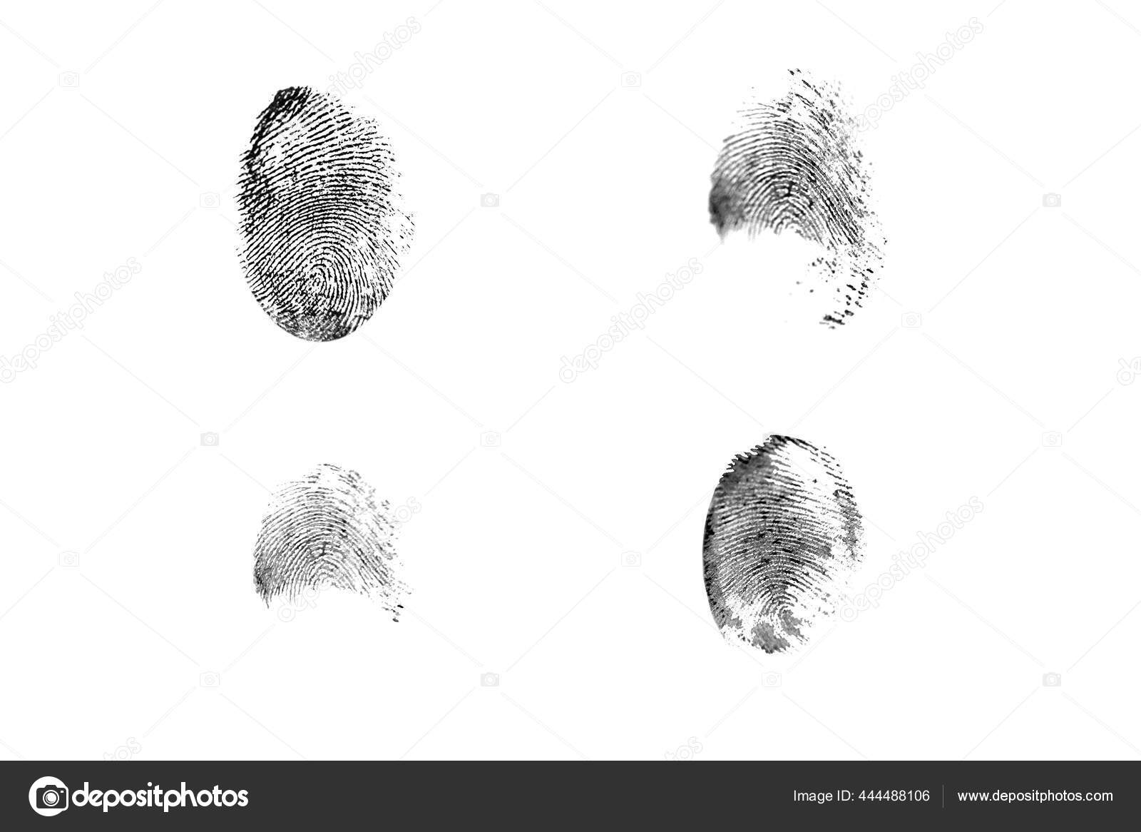 Human Fingerprints Personality Identification Concept Fat Sweat Traces ...