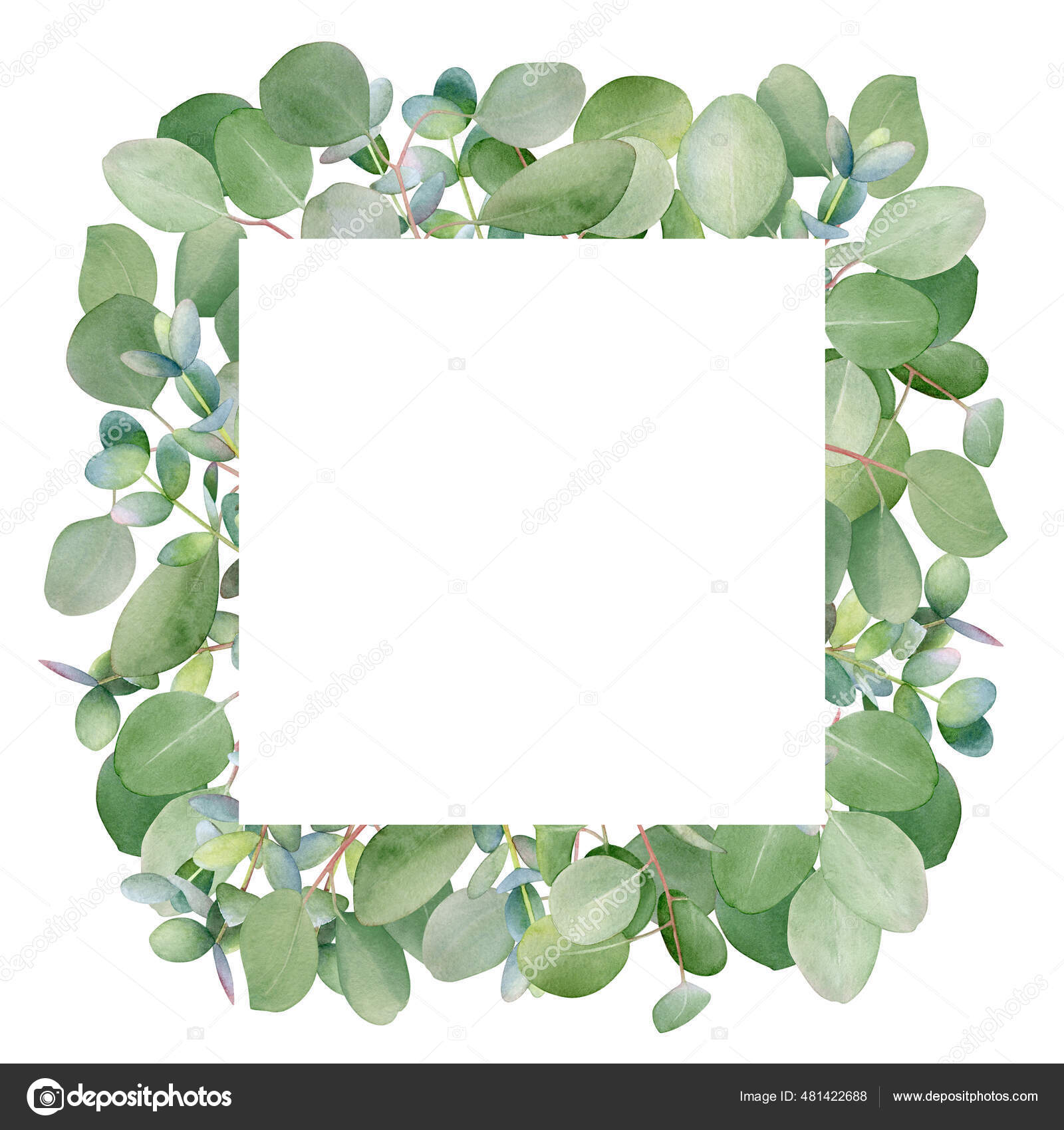 Frame Watercolor Eucalyptus Tree Branches Floral Design Stock ...