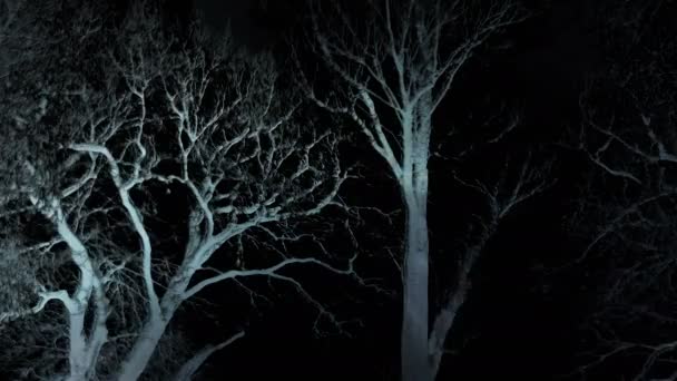 Lightning Storm Background Loop — Stock Video © Sunshine27 #424047602