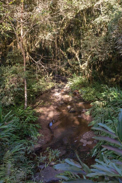 Fotos de La cocha, Imagens de La cocha sem royalties | Depositphotos