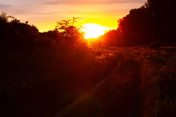 Walking path sunset Stock Photos, Royalty Free Walking path sunset ...