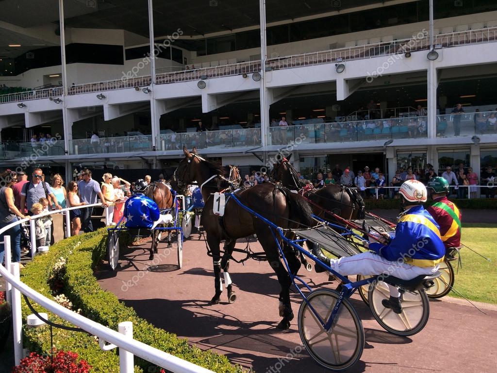 Harness racing in Alexandra Park Raceway in Auckland New Zealand ...