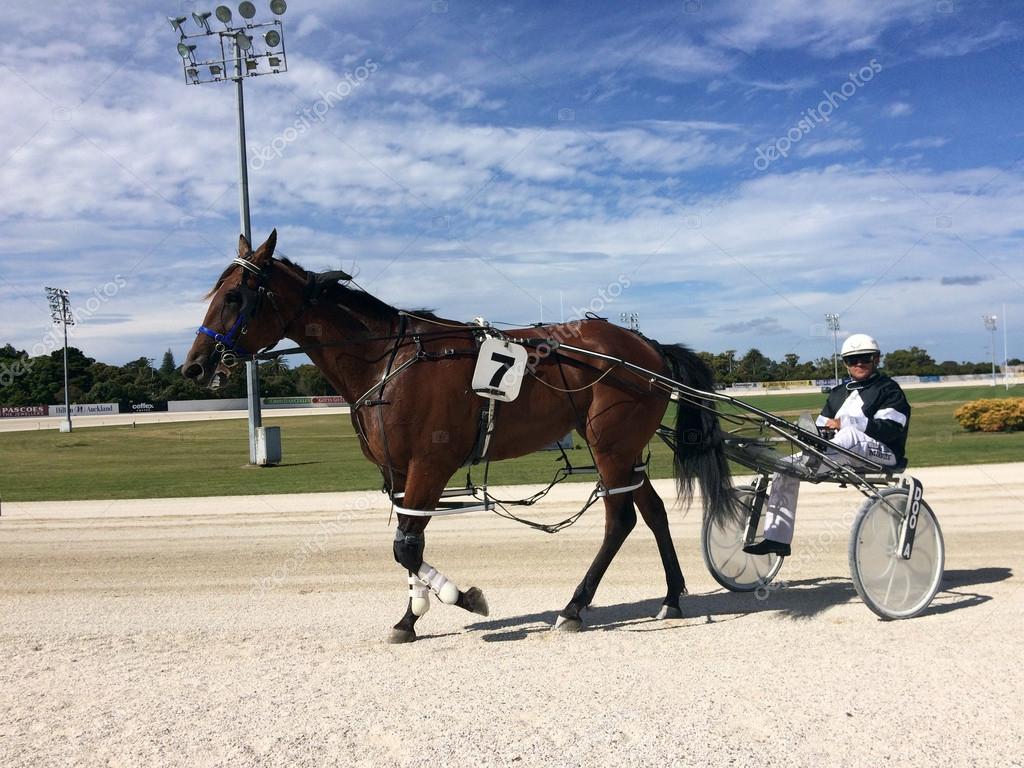 Carreras de arneses en Alexandra Park Raceway en Auckland Nueva Zelanda ...