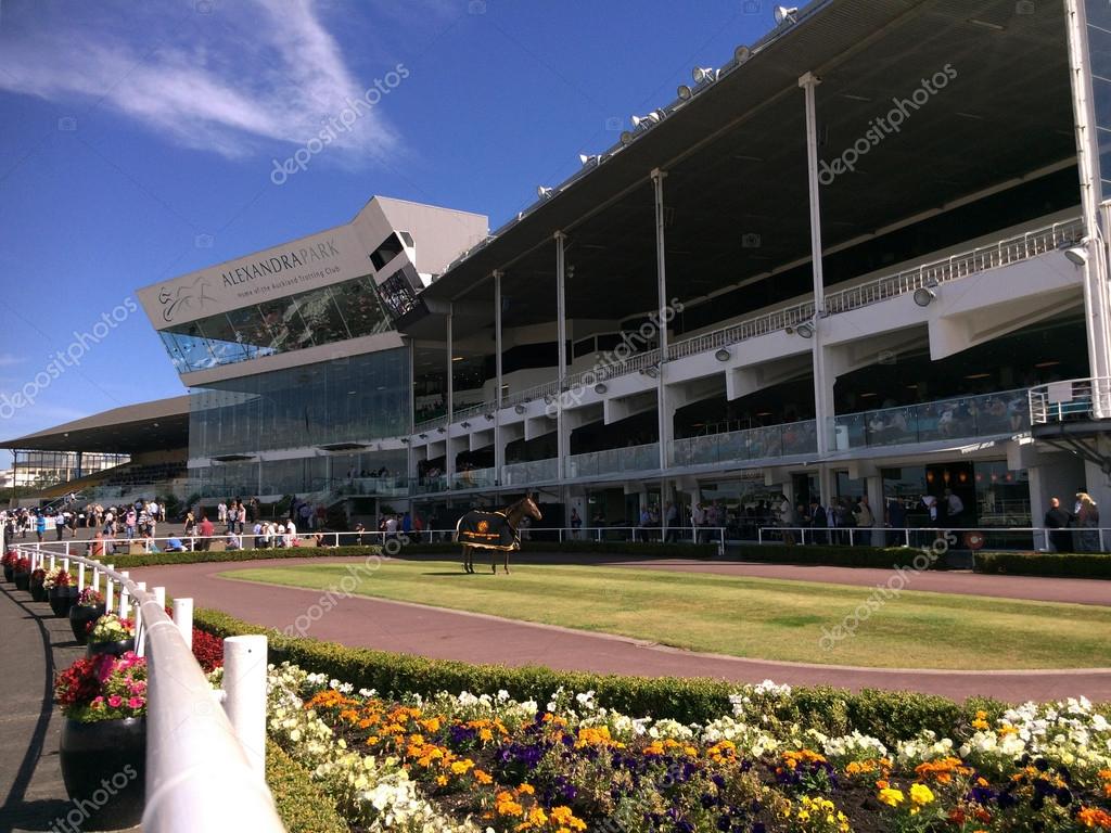 Alexandra Park Raceway in Auckland New Zealand – Stock Editorial Photo ...