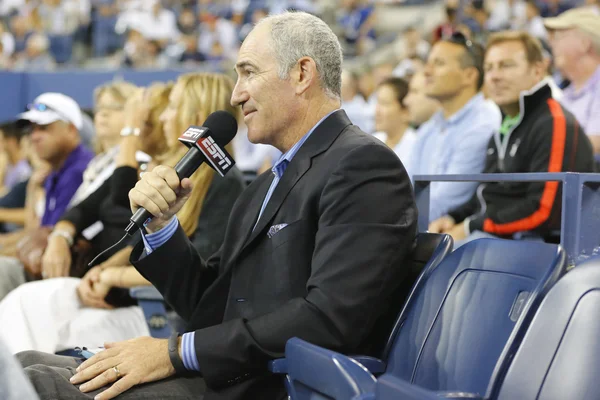 ESPN analyst Brad Gilbert comments match between Serena Williams and ...