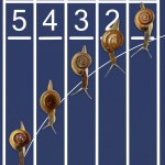 Snails race on sports track — Stock Photo © lightkeeper #9956339