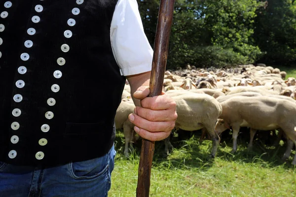 Shepherd staff Stock Photos, Royalty Free Shepherd staff Images ...
