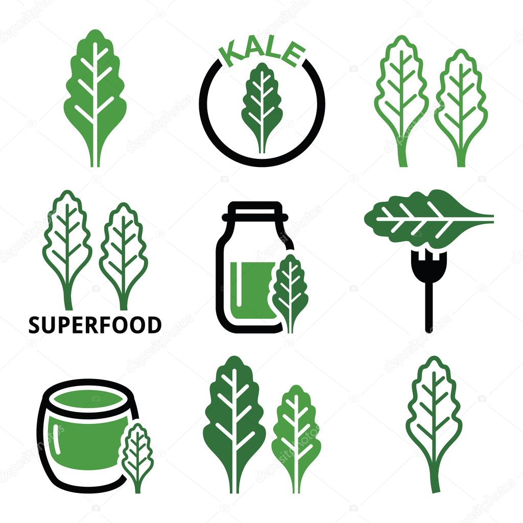 Superfood - kale leaves vector green icons set Stock Vector Image by ...