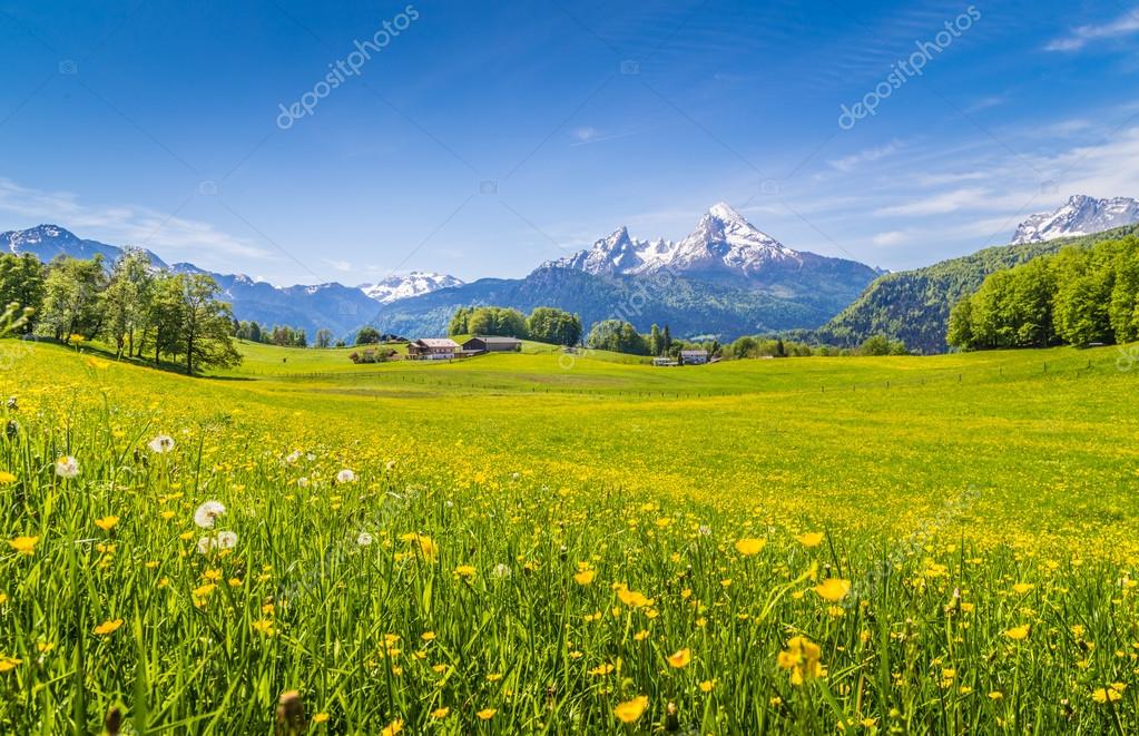 Idyllic landscape in the Alps with green meadows and flowers Stock ...